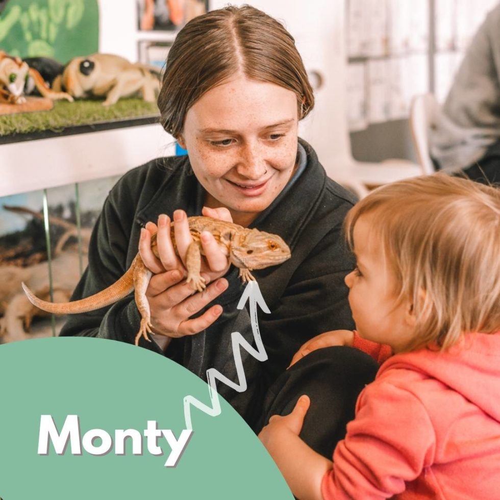 Meet our Animals - Child Care Kenmore Hills