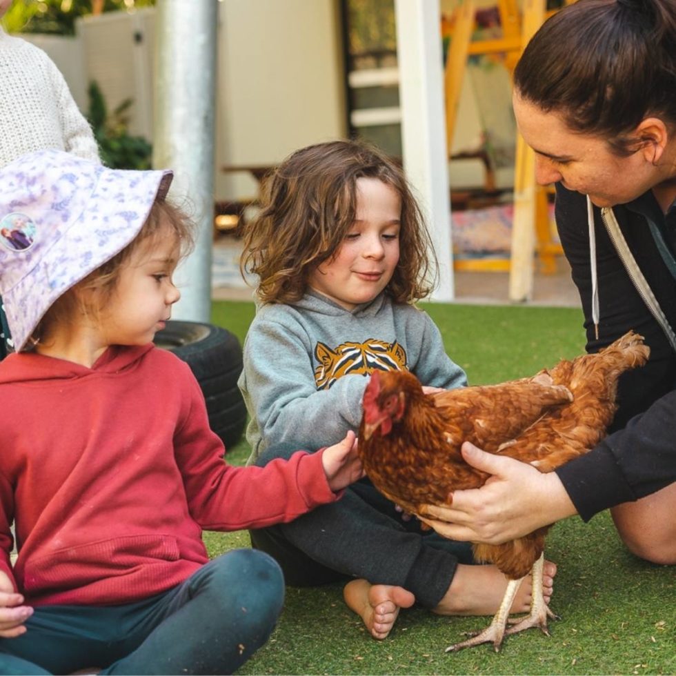 Meet our Animals - Child Care Kenmore Hills