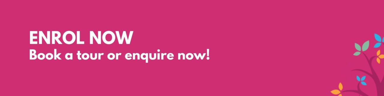 Meet our Animals - Child Care Kenmore Hills